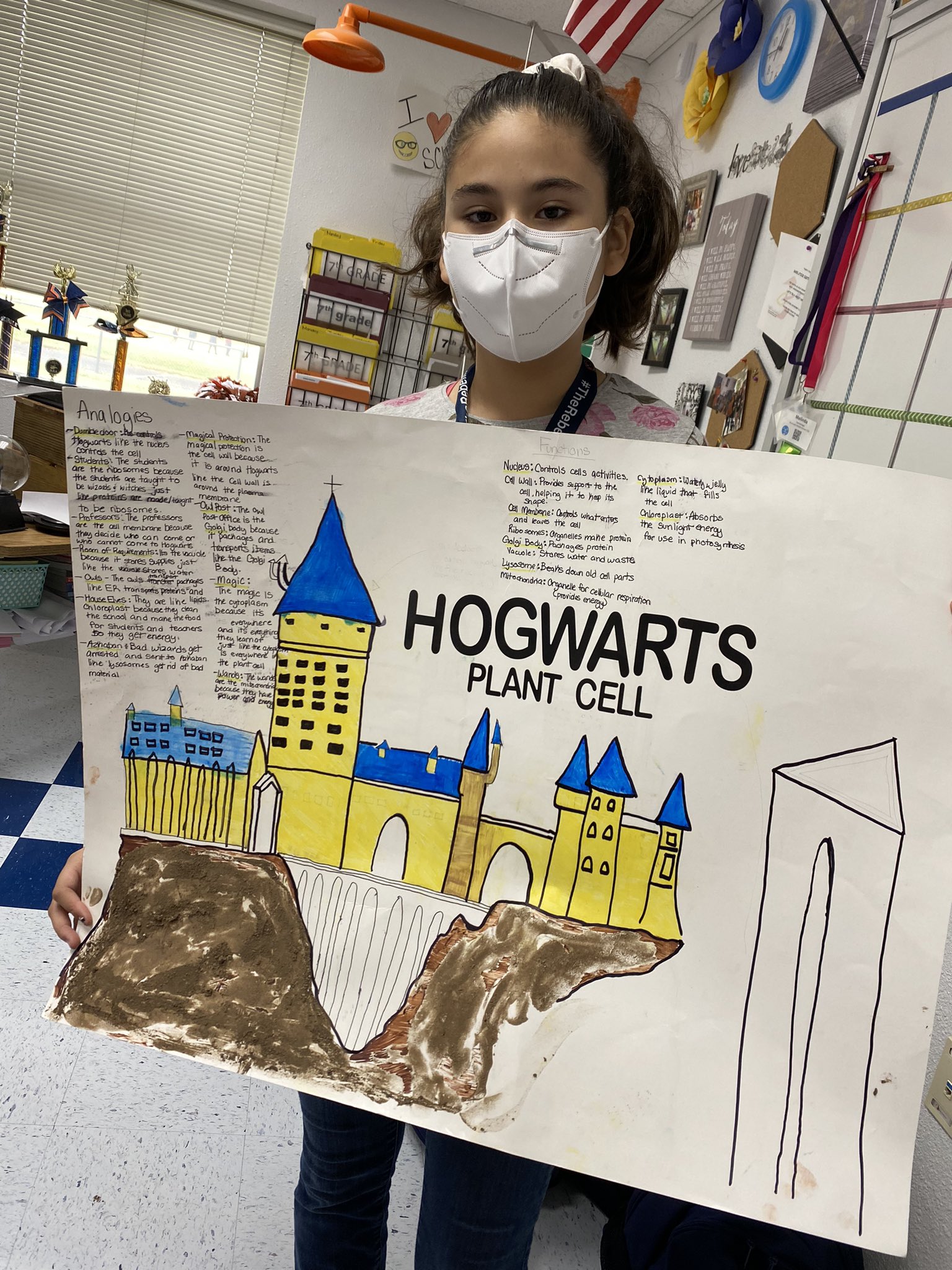 Plant Cell City Project Examples