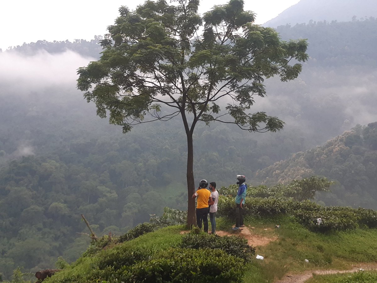 Subhadip Singha (@SubhadipSingha_) | Twitter