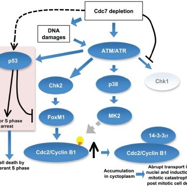 Thread by @Biotech2k1 on Thread Reader App – Thread Reader App