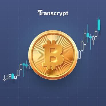 Transcrypt.eu (@TranscryptEU) | Twitter