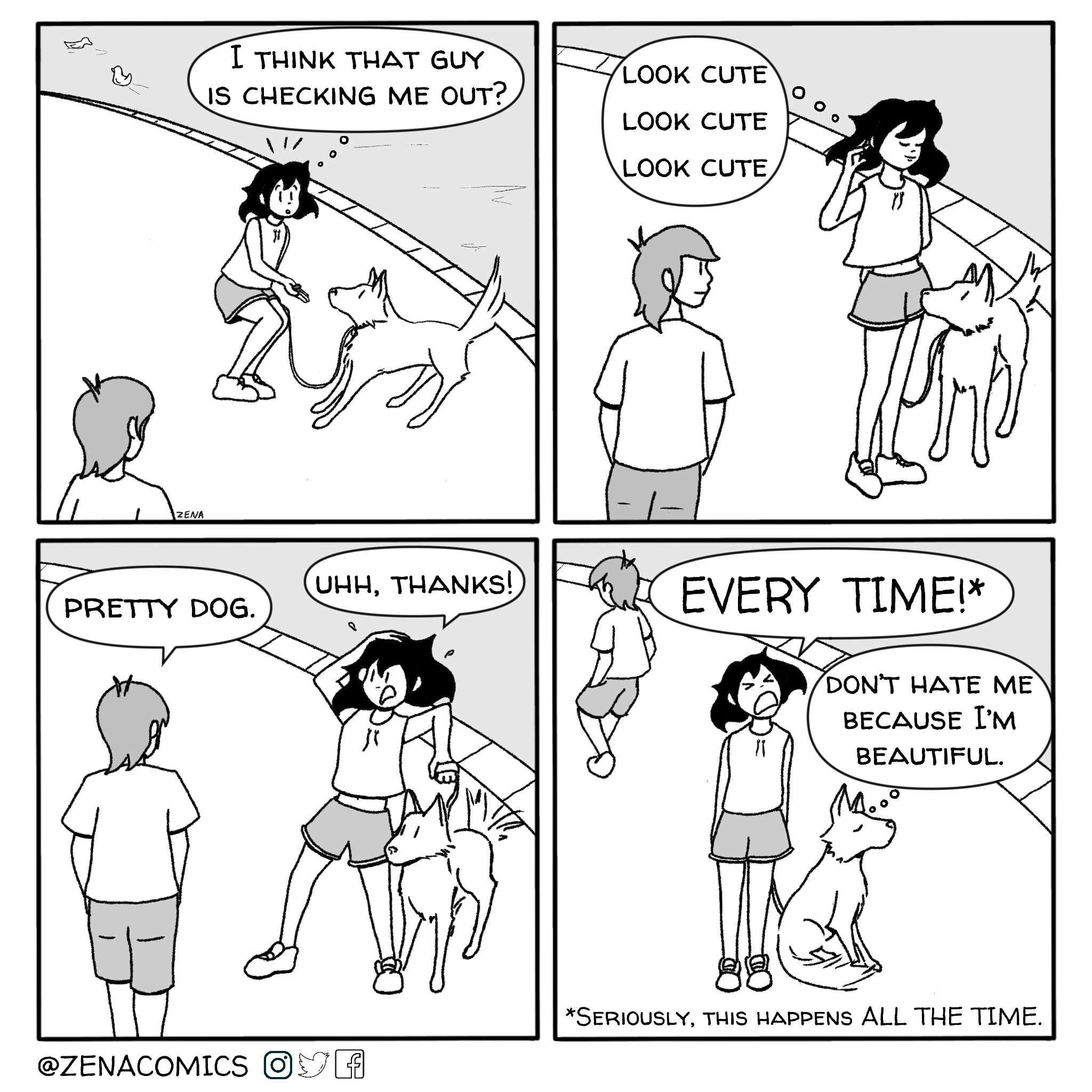 Reflexive Pronouns Comics