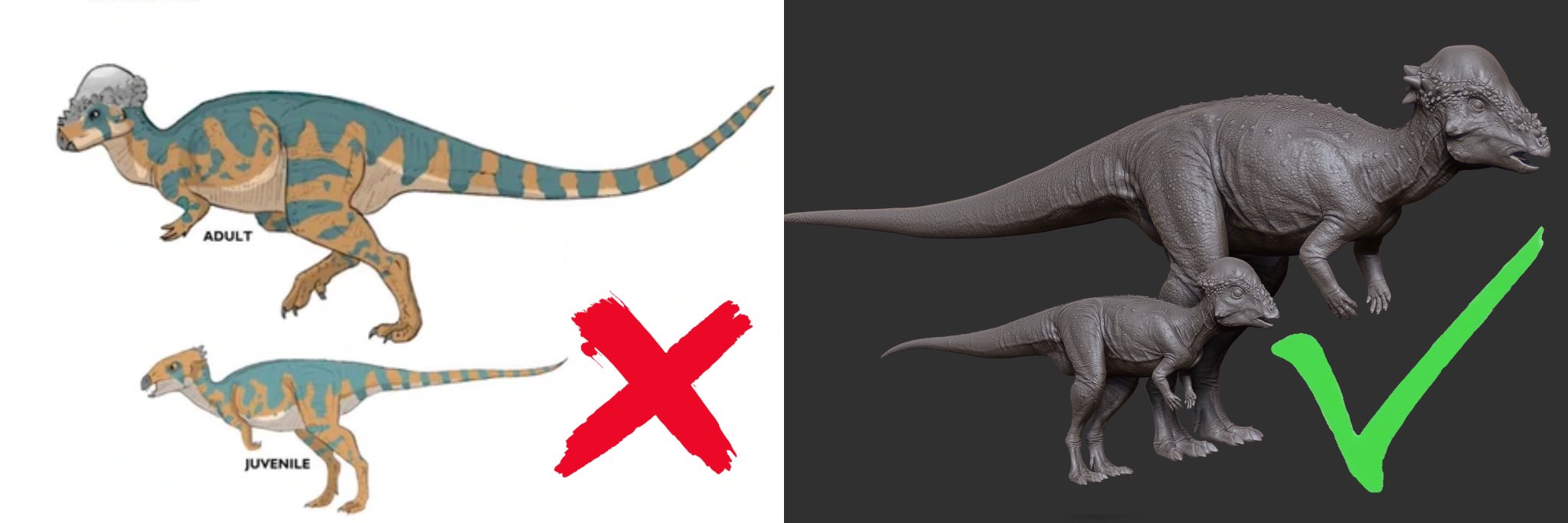 Pachycephalosaurus Size