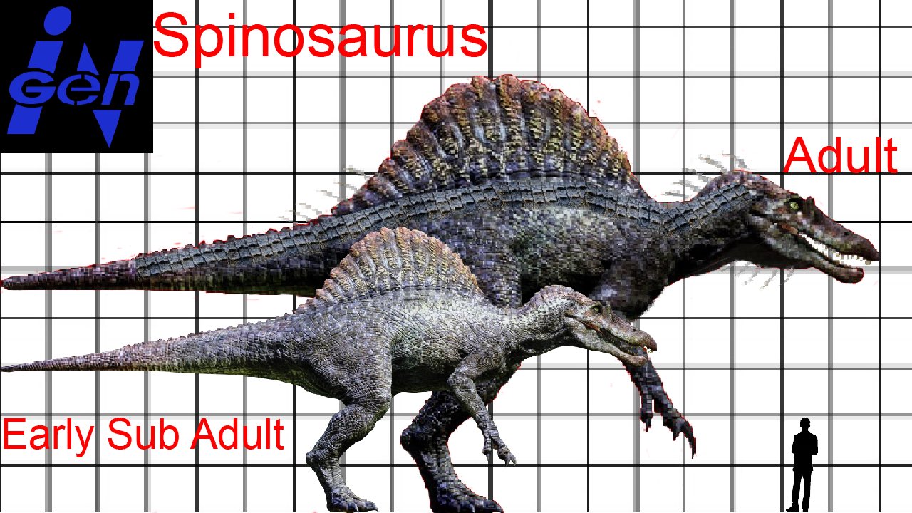 Spinosaurus Size Chart