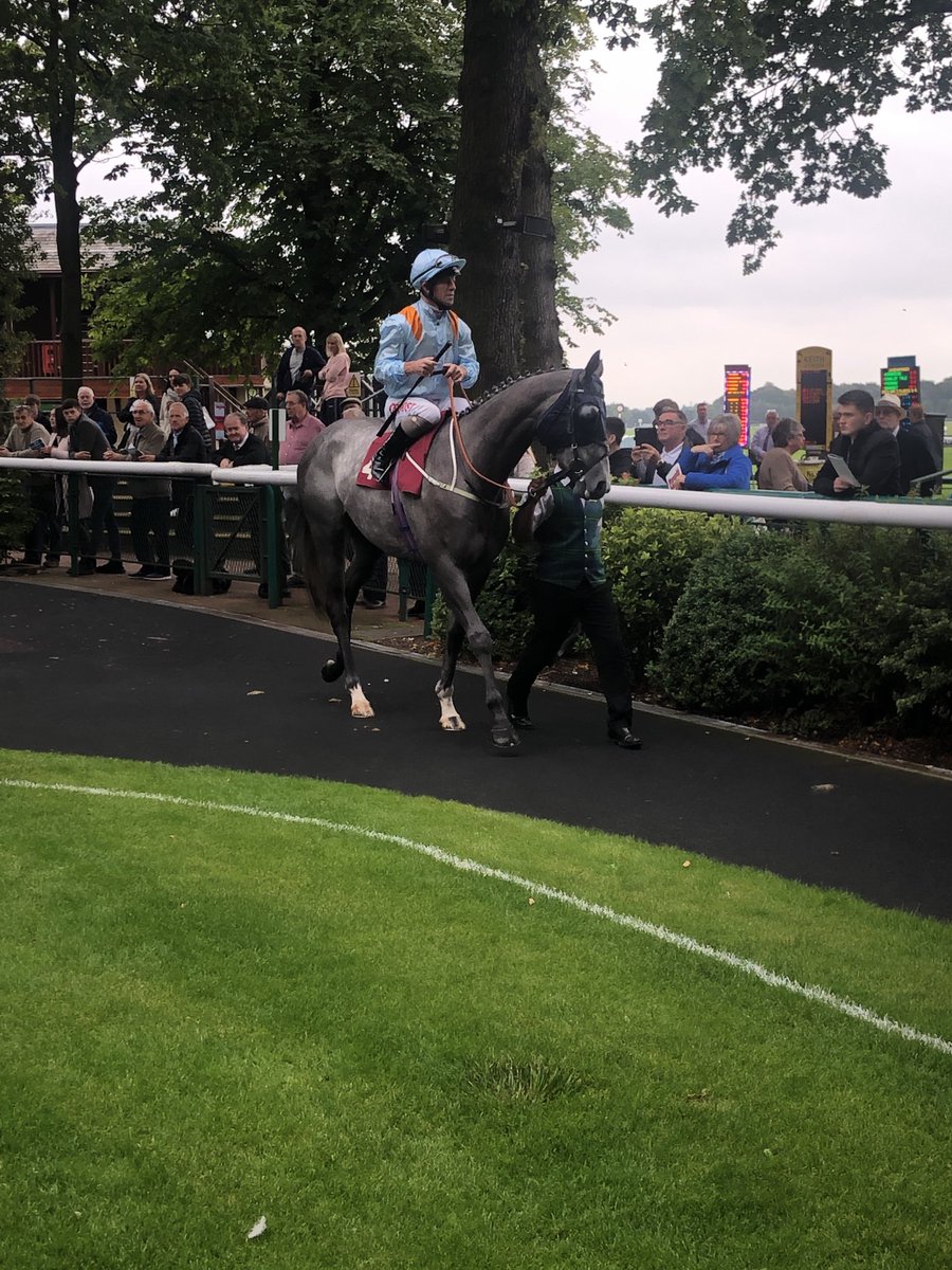 Martin Eldred (@glenbuck88) | Twitter