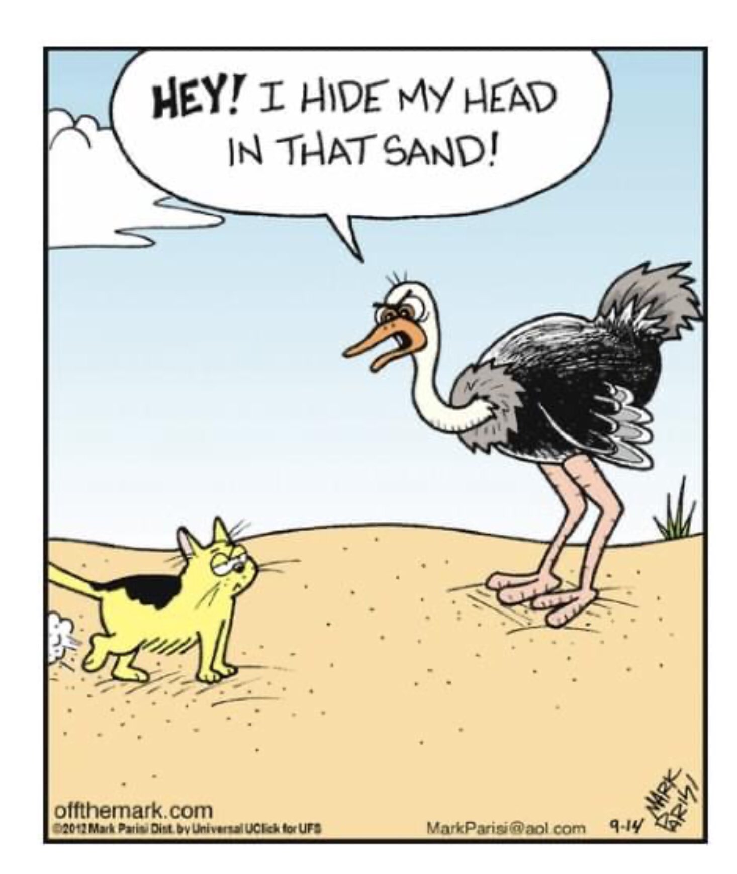 Funny Ostrich Jokes