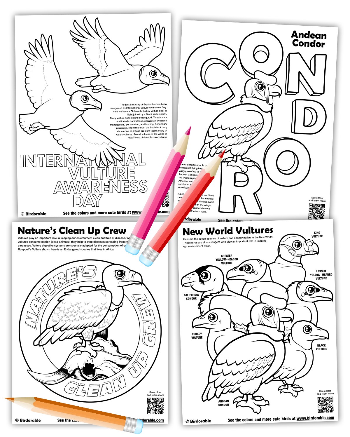 Coloring Pages Condor