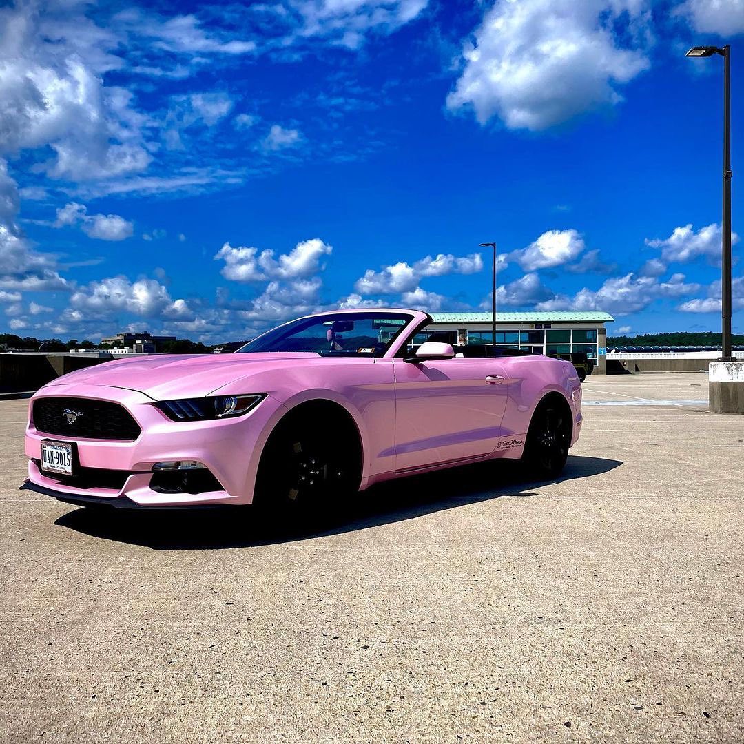 Light Pink Mustang