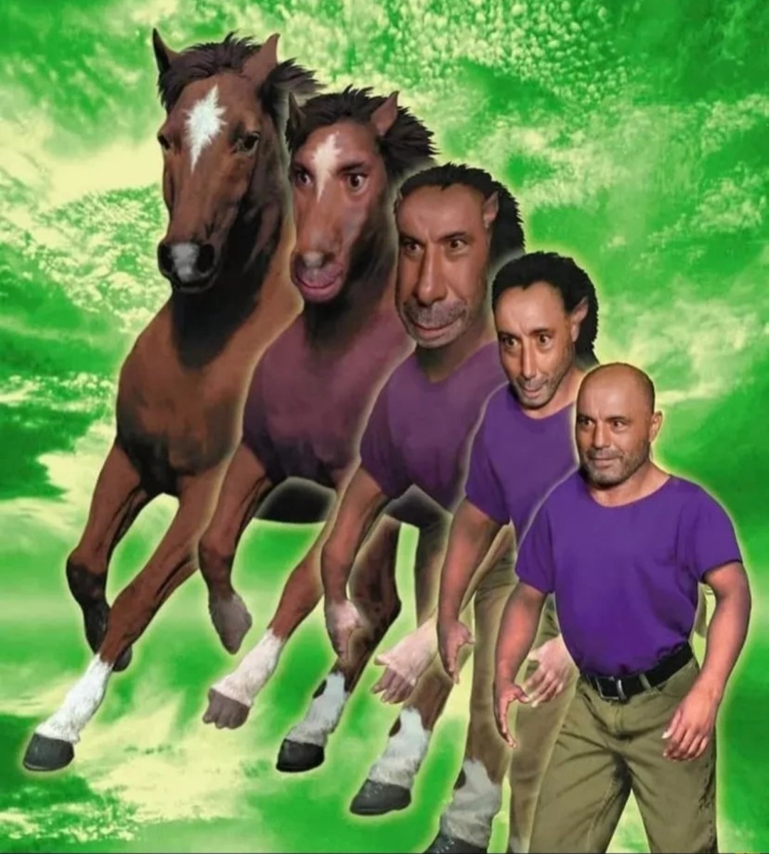 Animorphs Meme