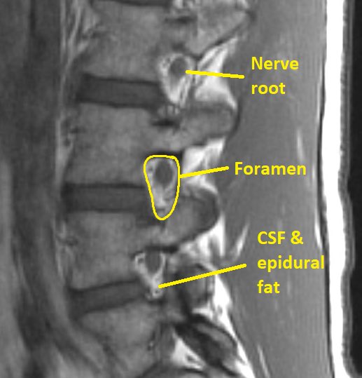 Claire Paling Physio's Threads – Thread Reader App