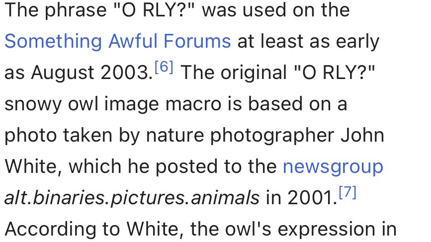 O Rly Owl Original