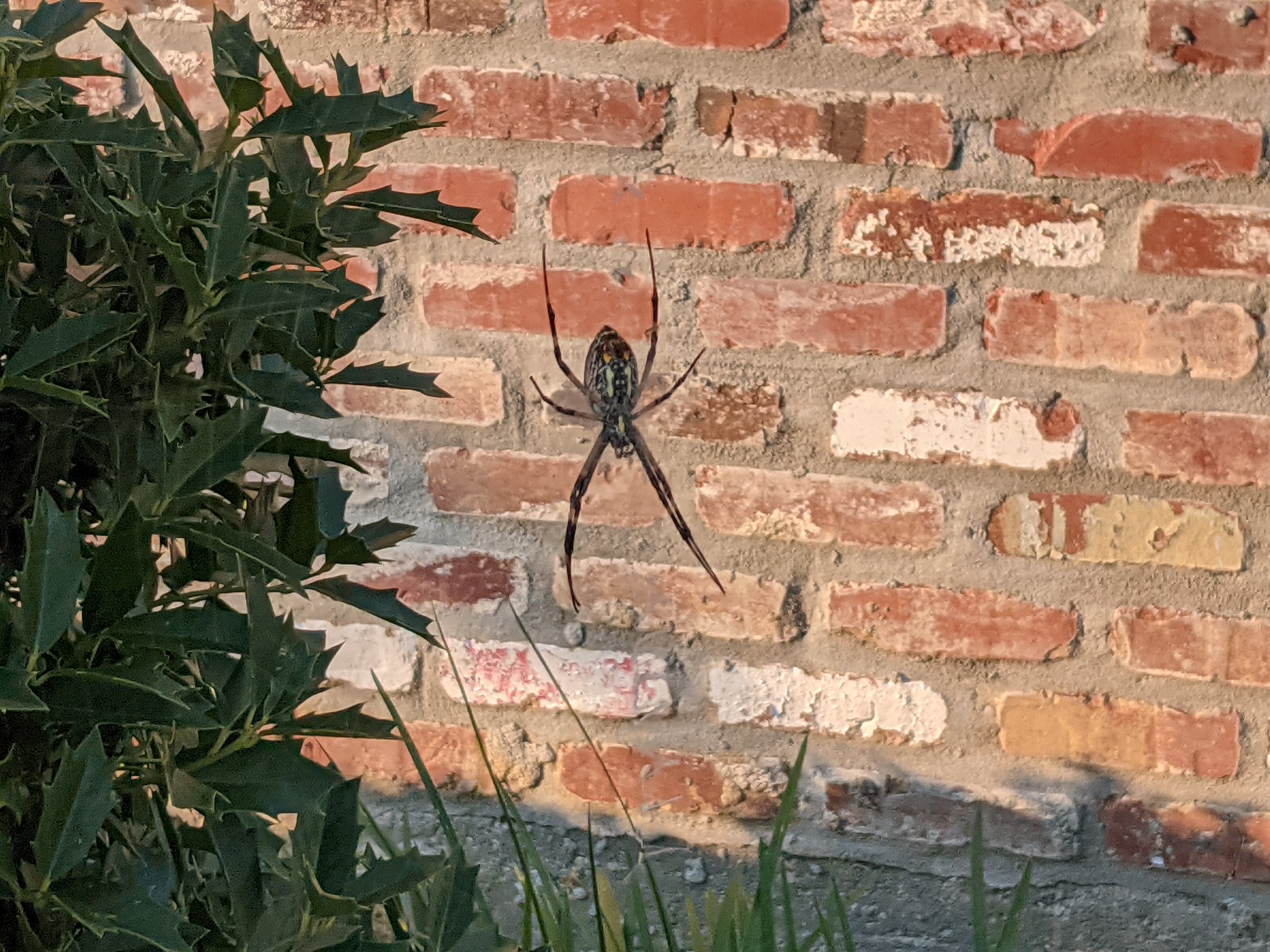 Jumanji Spiders Jumanji Movie Vintage 11" 1990s 1995 Spider Plush