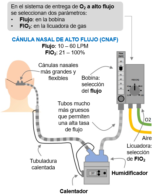 Esquema De CNAF Artesanales Evaluadas, Y El Sistema De Medición De ...
