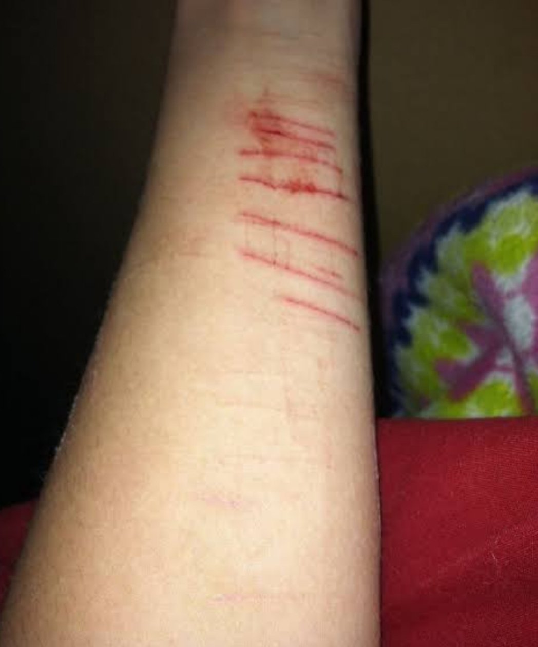 Real Hand Cut Images