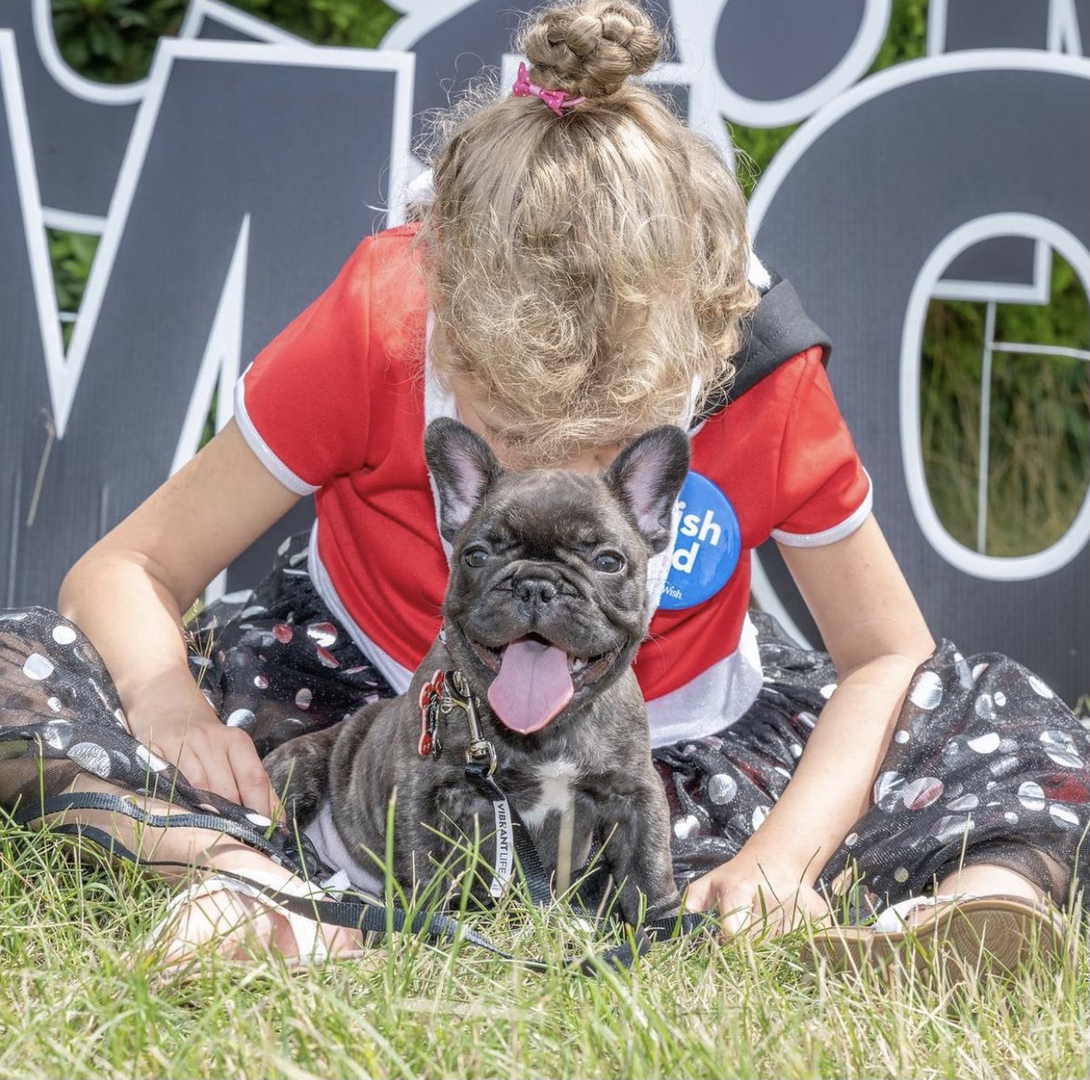 ASchlumpf (@TravPhotoMon) | Twitter