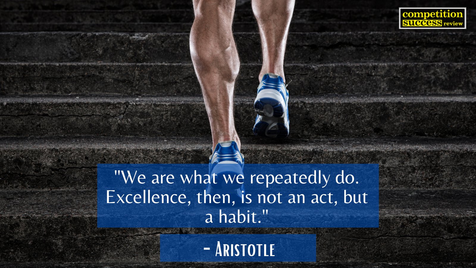 We Are What We Repeatedly Do Exercise