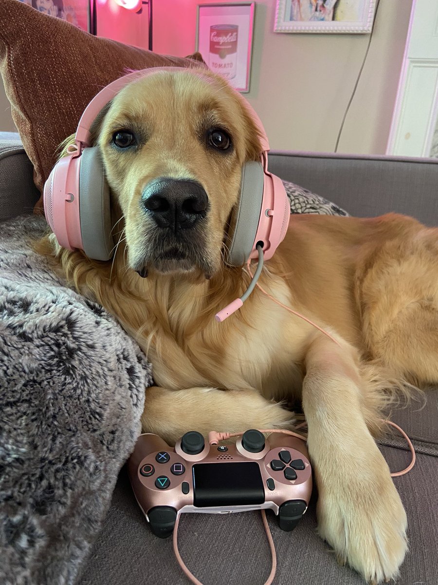 He’s a gamer 𝓴𝓪𝔂 🐻 𝓫𝓮𝓪𝓻 @kayyybearxo