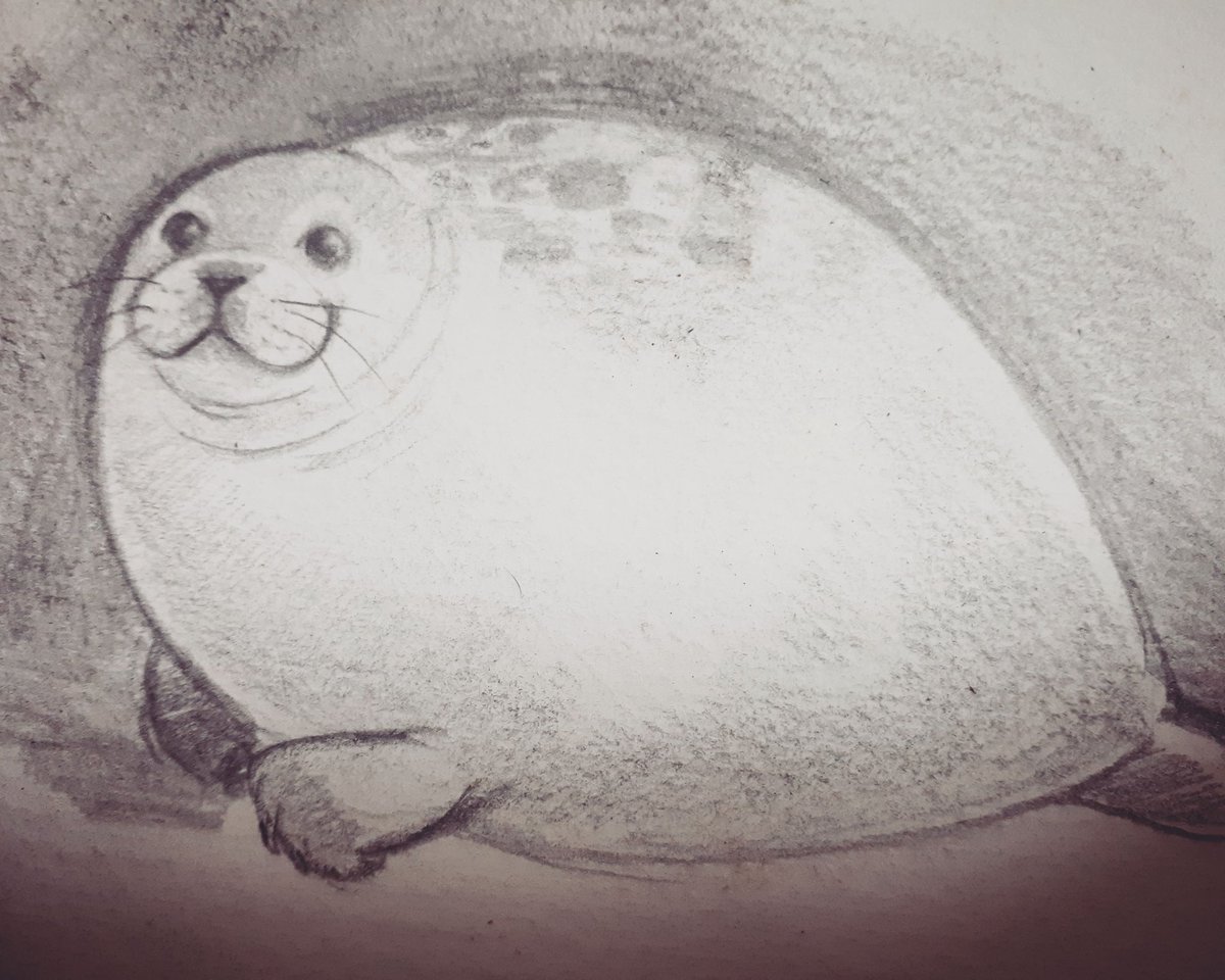 How To Draw A Realistic Seal