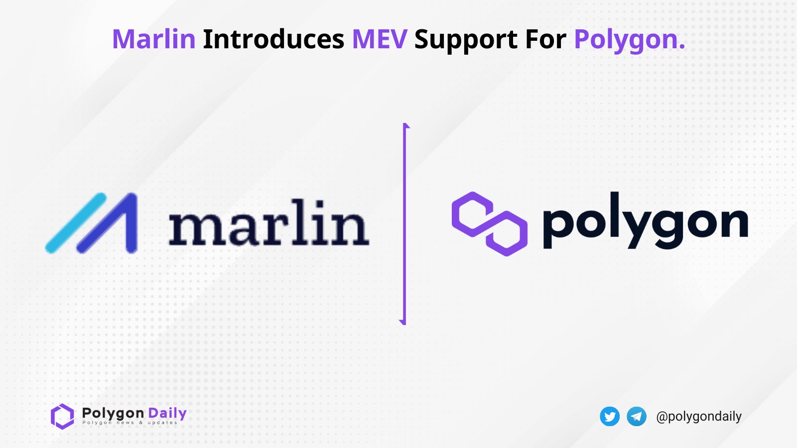 Polygon Daily on Twitter: "The high-performance #Layer0 infrastructure @MarlinProtocol has ...