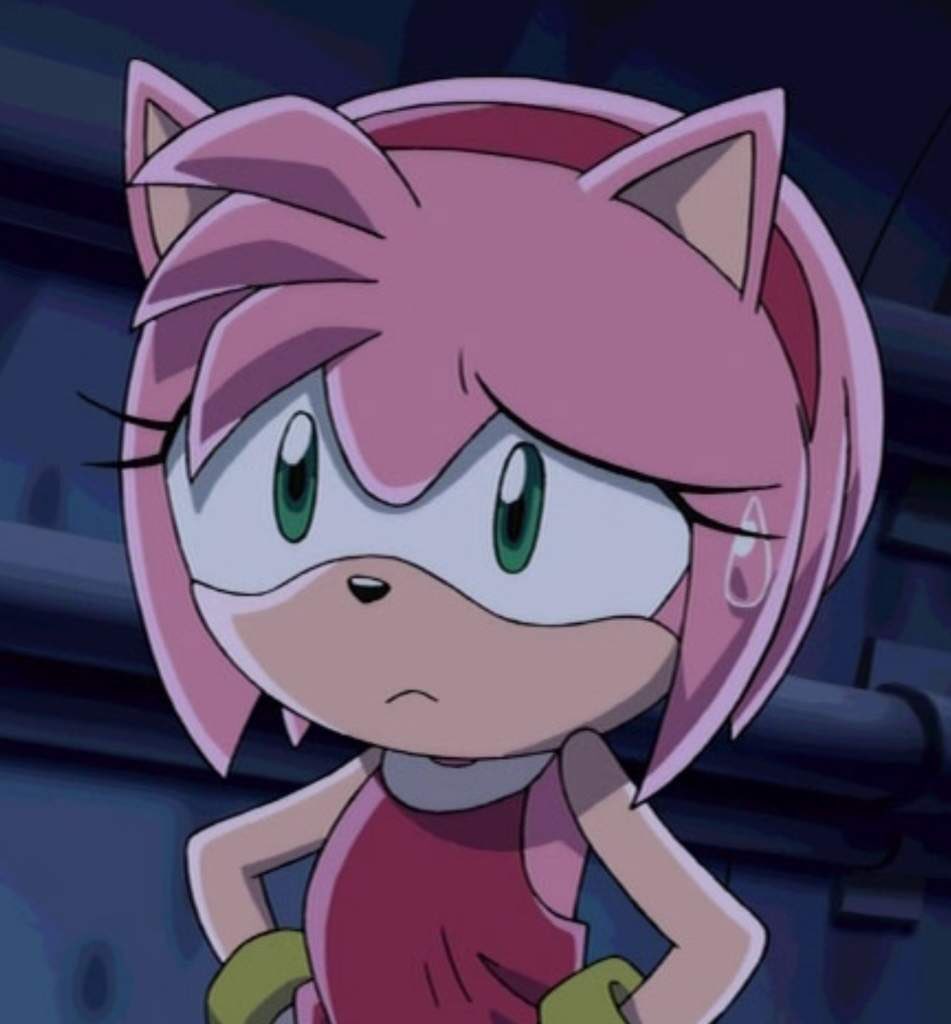 Amy Rose Sonic X Sad