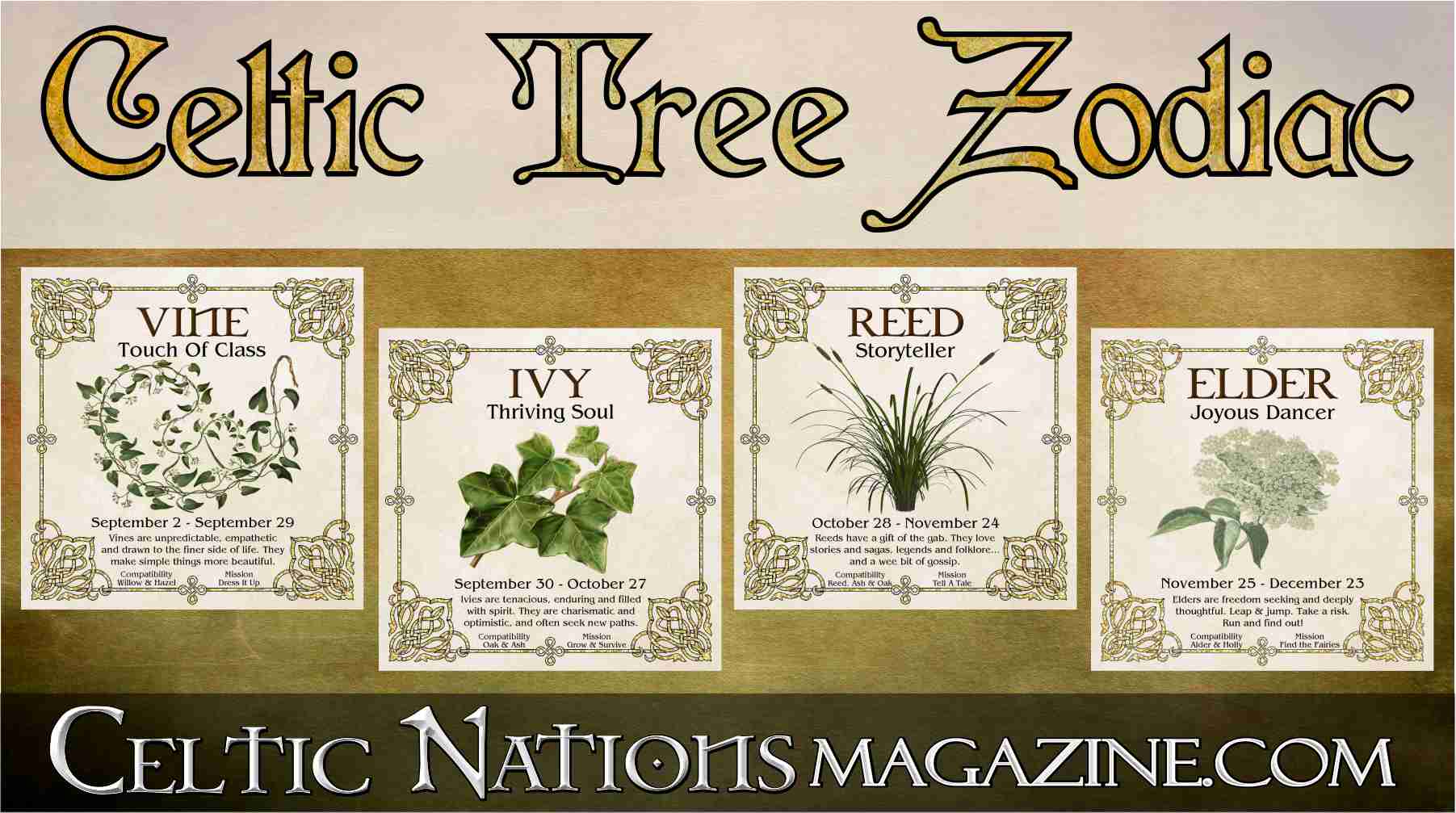 Oak celtic zodiac - Horoscopeaz.com
