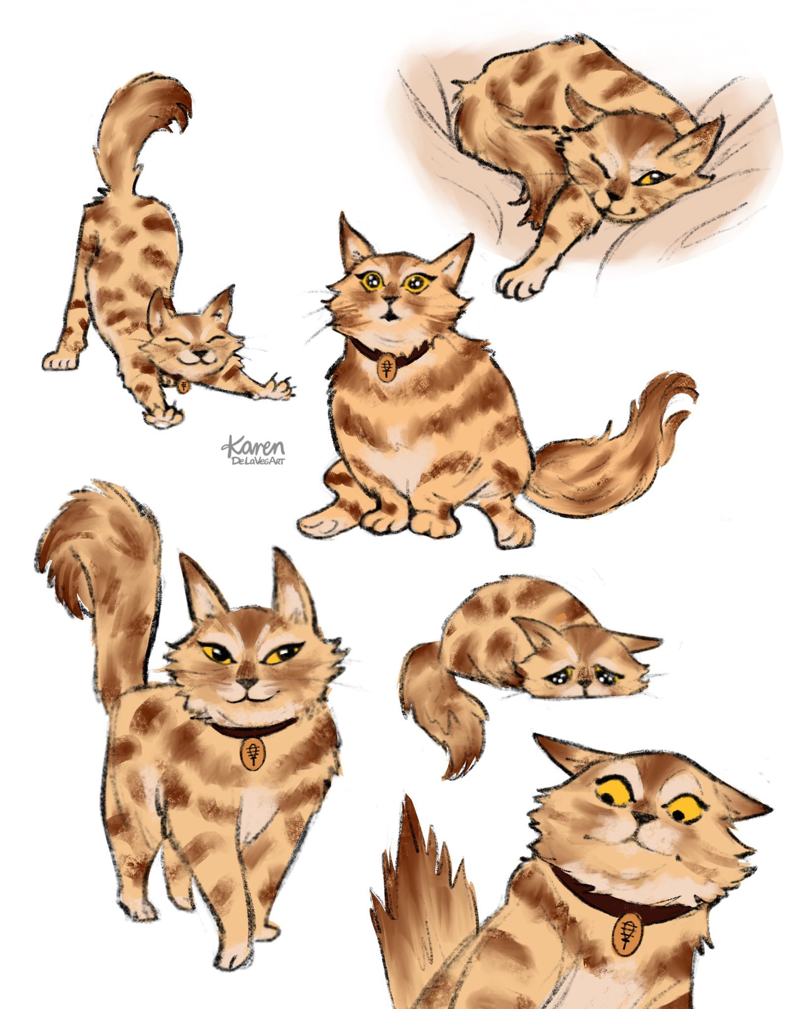 Muffin Kane Chronicles