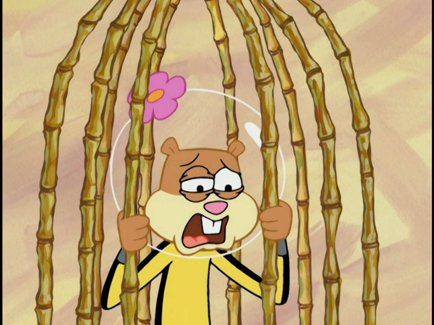 Spongebob Karate Island Sandy