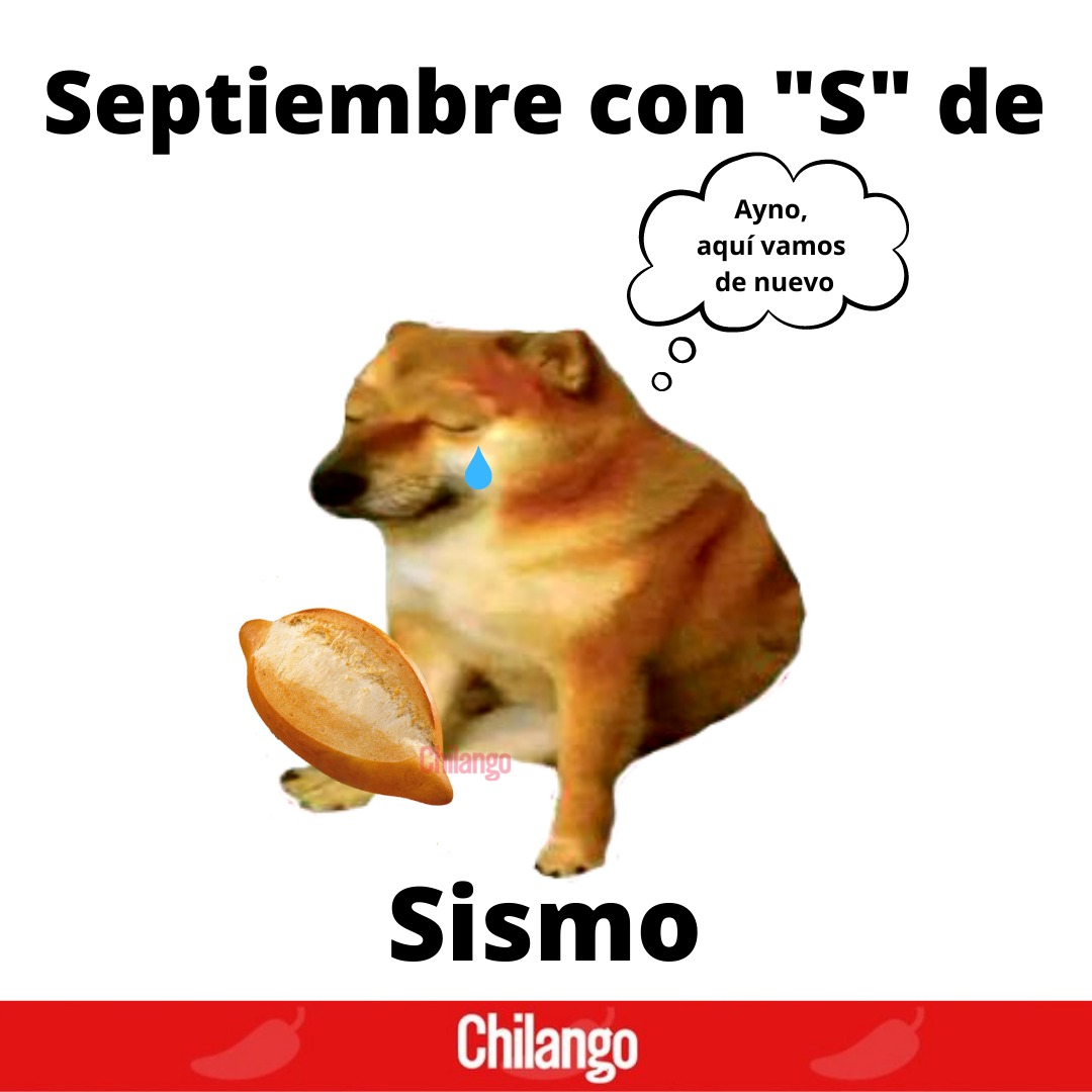 Memes Un Bolillo Cómo Hacer Bolillo Sin Horno: Prepáralo Fácil Solo