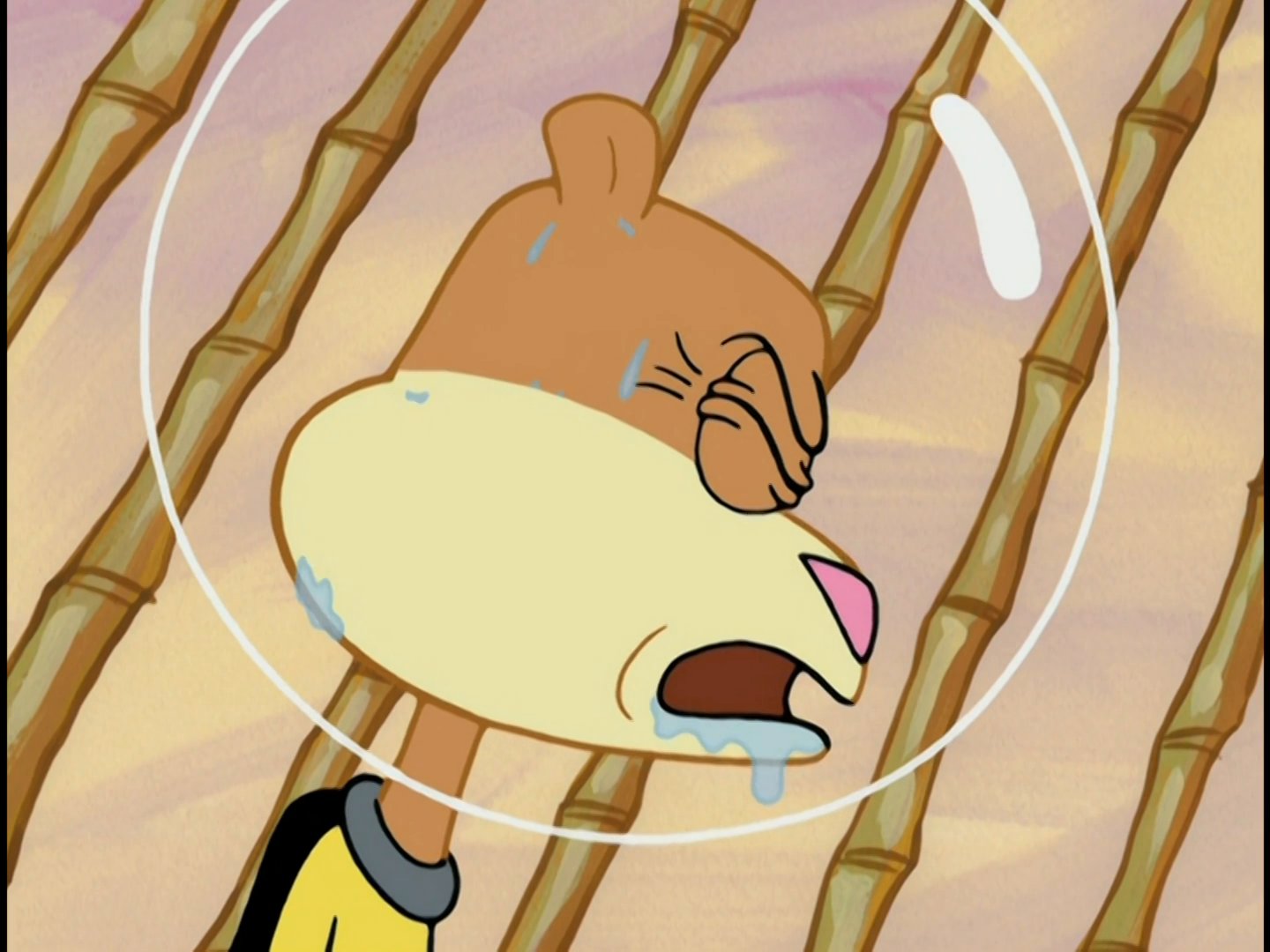 Sandy Cheeks Karate Island