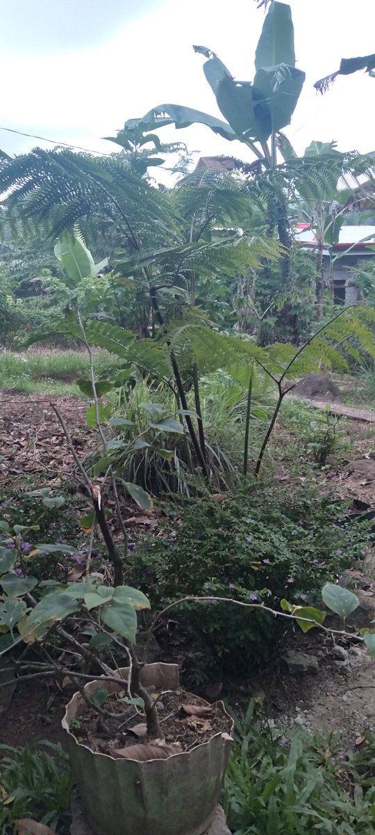 Isagani Urgada (@isaganiurgada) | Twitter