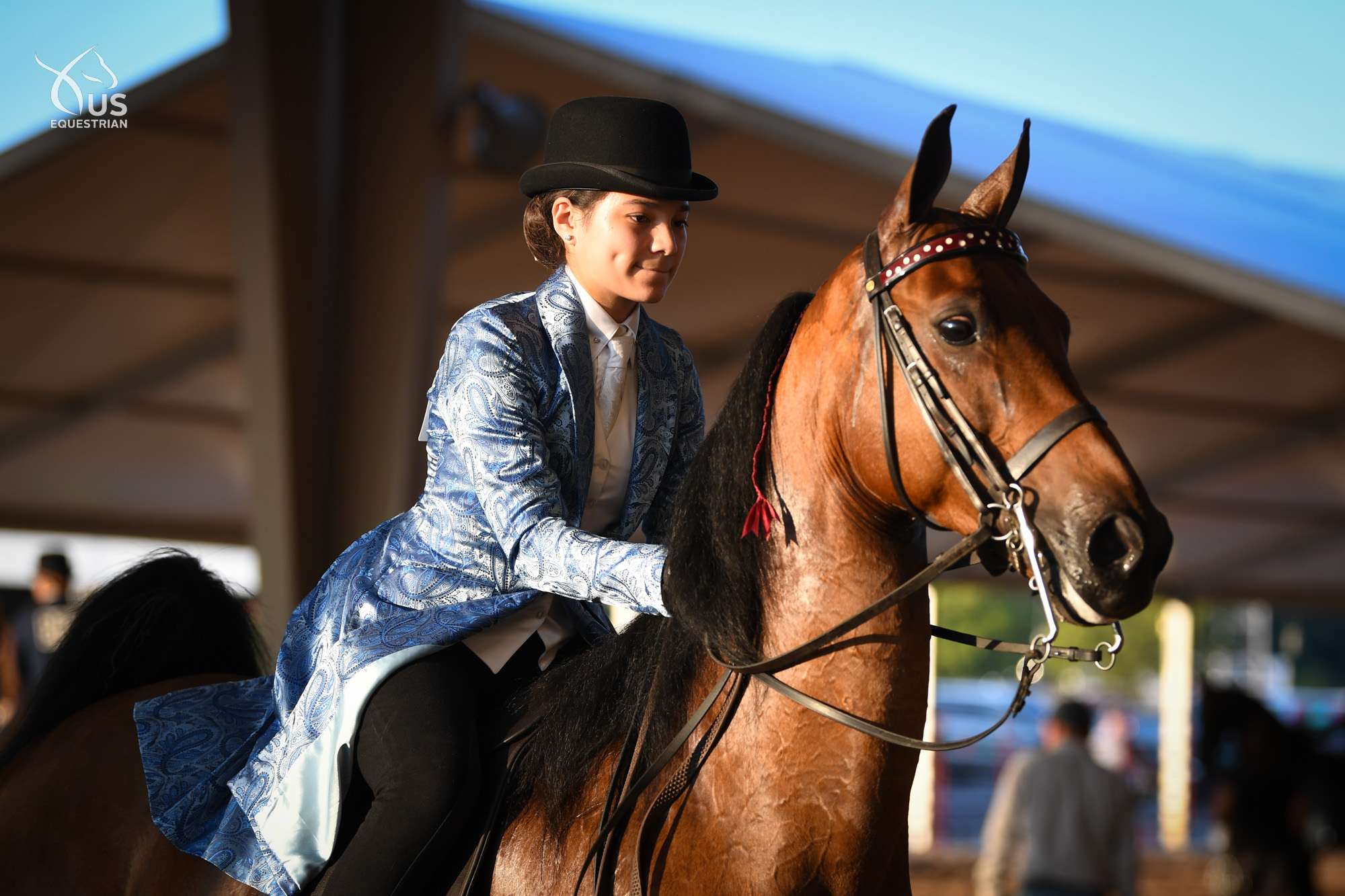US Equestrian on Twitter: "Last month, American Saddlebreds and Hackney ponies took to the ...