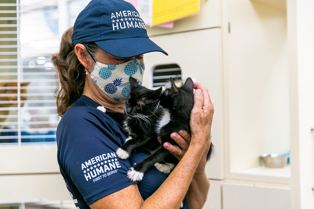 Meet America’s Top 10 Veterinary Professionals and Vote for Your ...