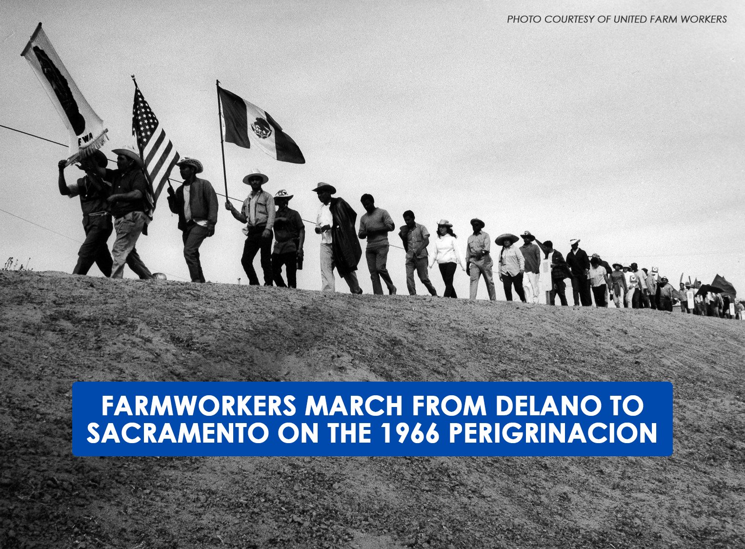 United Farm Workers Strike