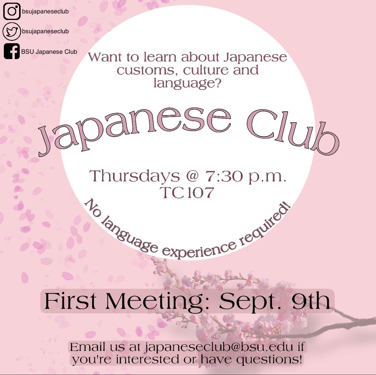 Bsu email meaning - therapylasopa