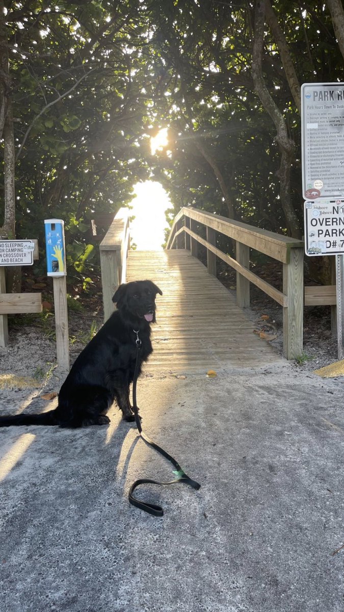 Milo Stokes Instagram