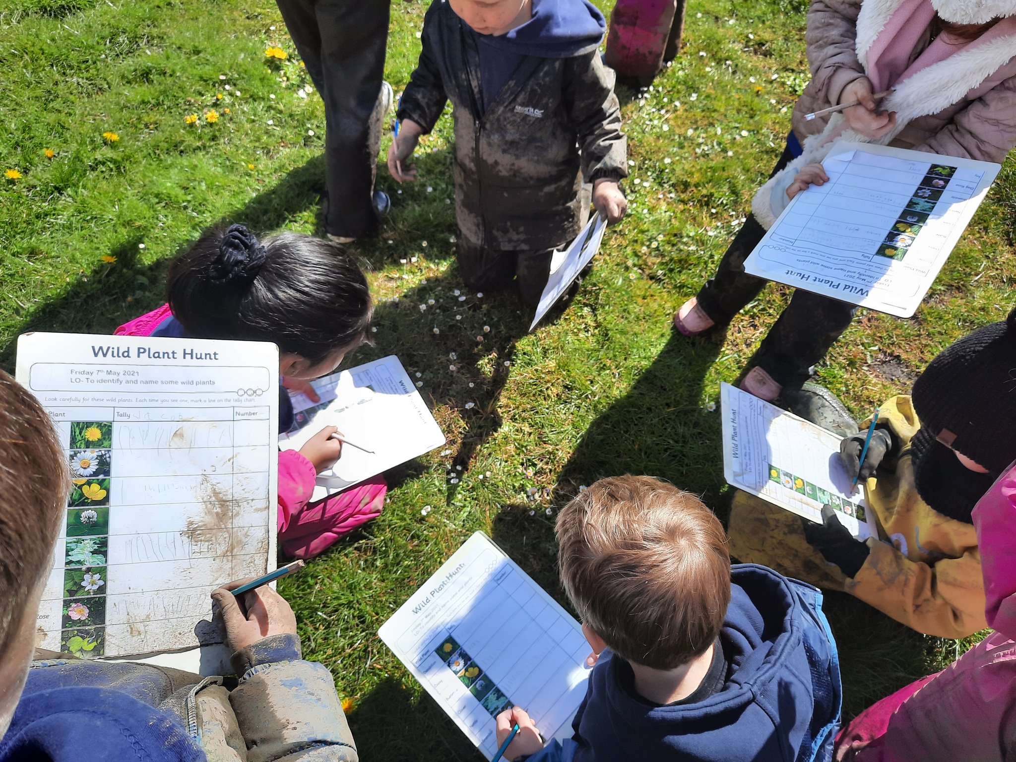 Water Primary on Twitter: "An outdoor science lesson for Willows today ...