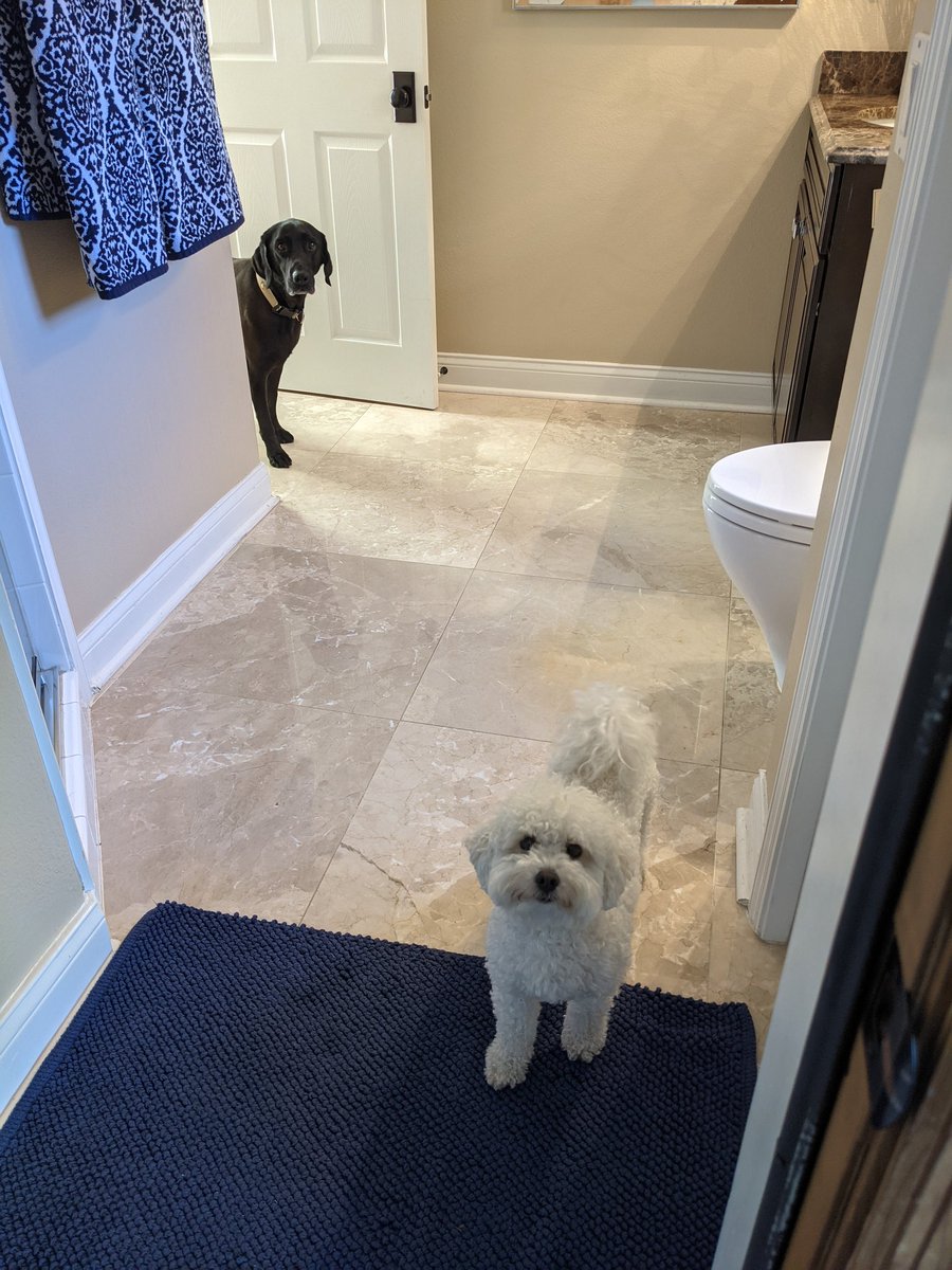 Bryan Bruce (@bryanbruce) | Twitter