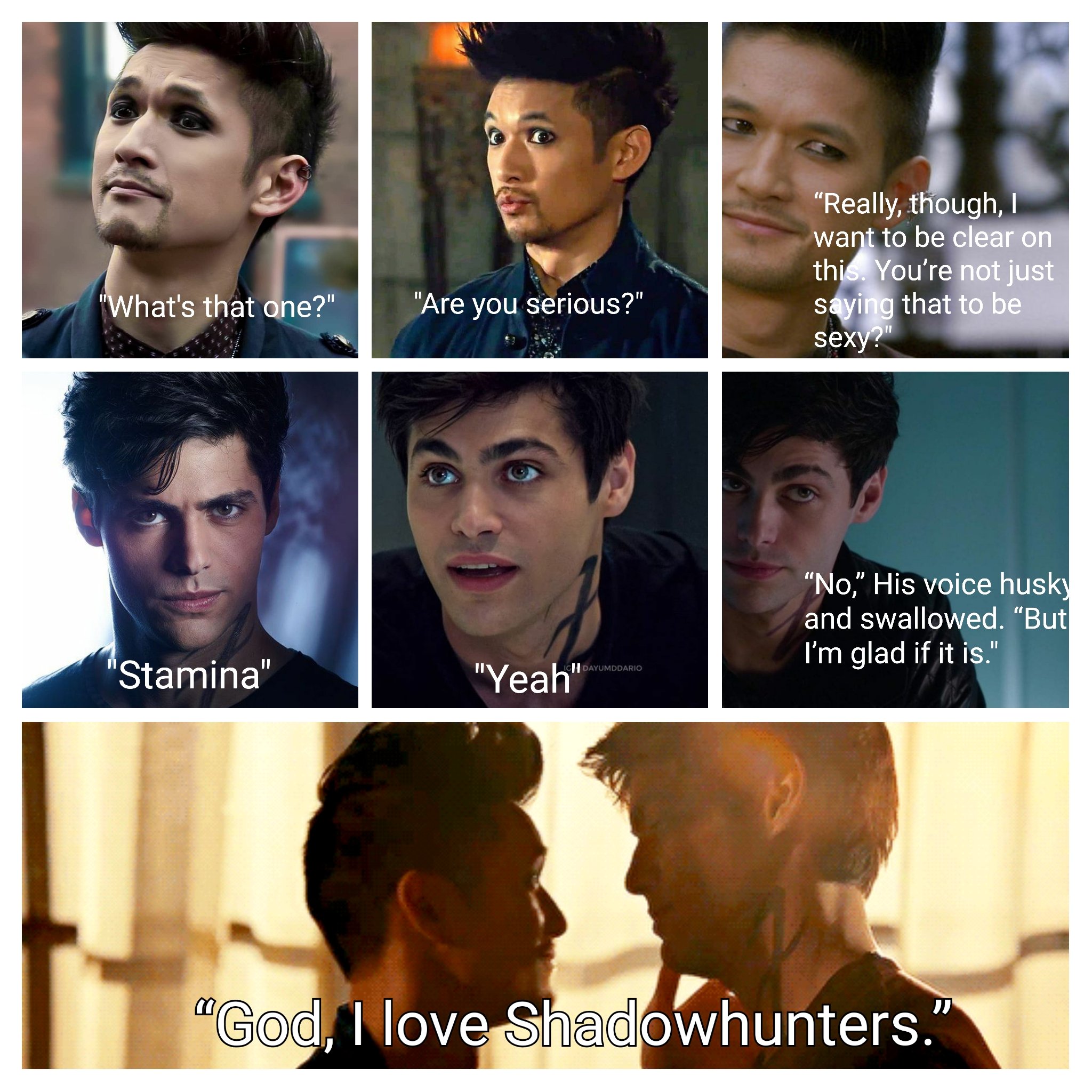 Magnus Bane And Alec Lightwood Quotes