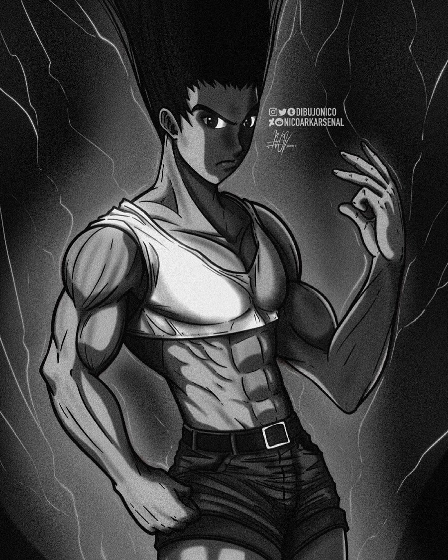 Gon Freecs Transformation