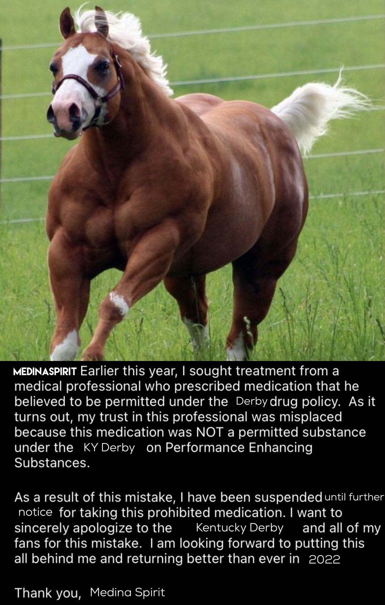 Myostatin Deficiency Horse