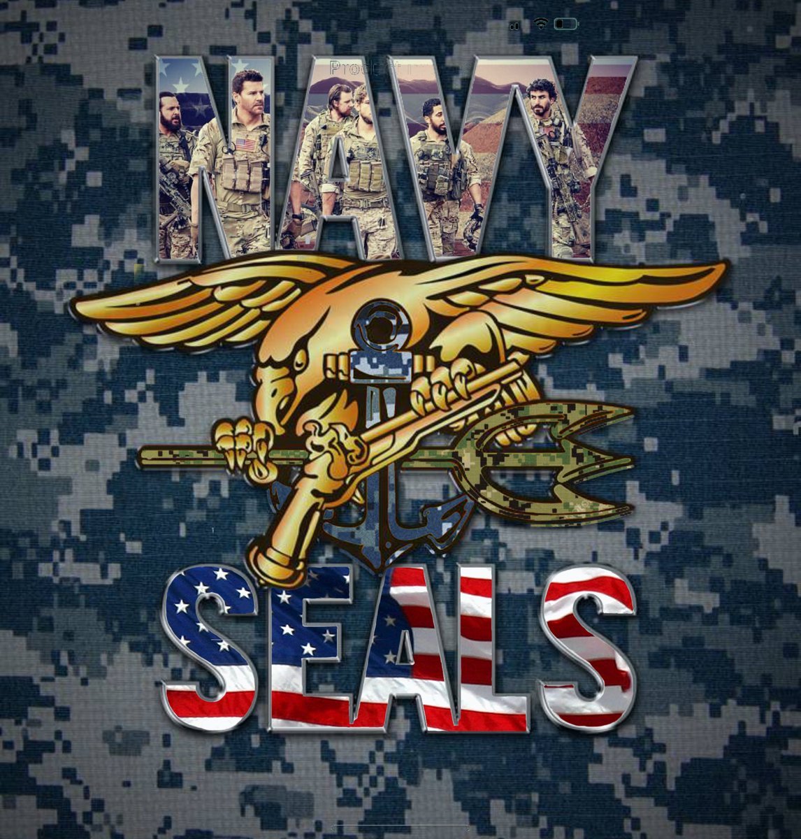 Navy Seal Emblem Wallpaper