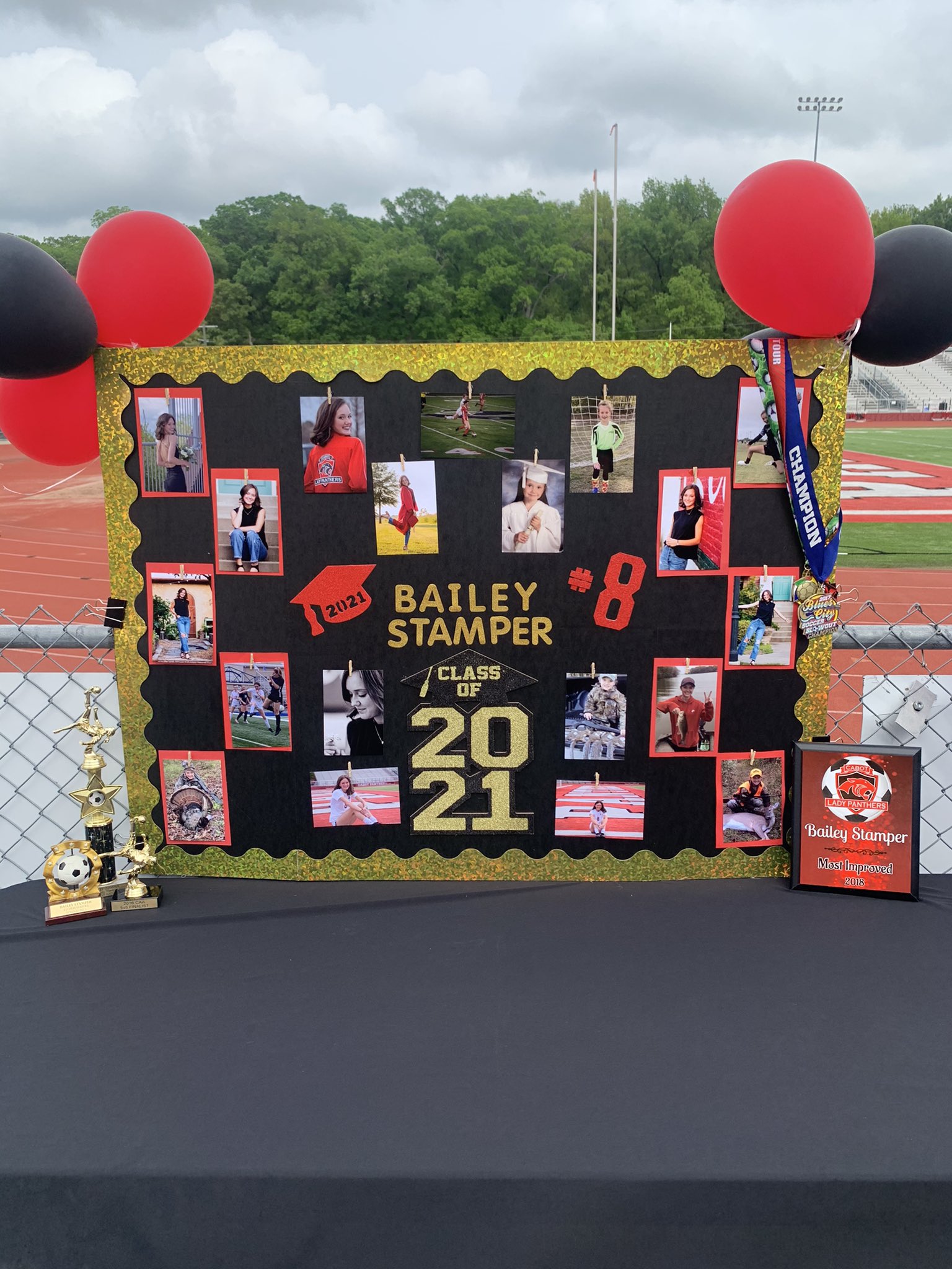 Softball Senior Night Poster Ideas