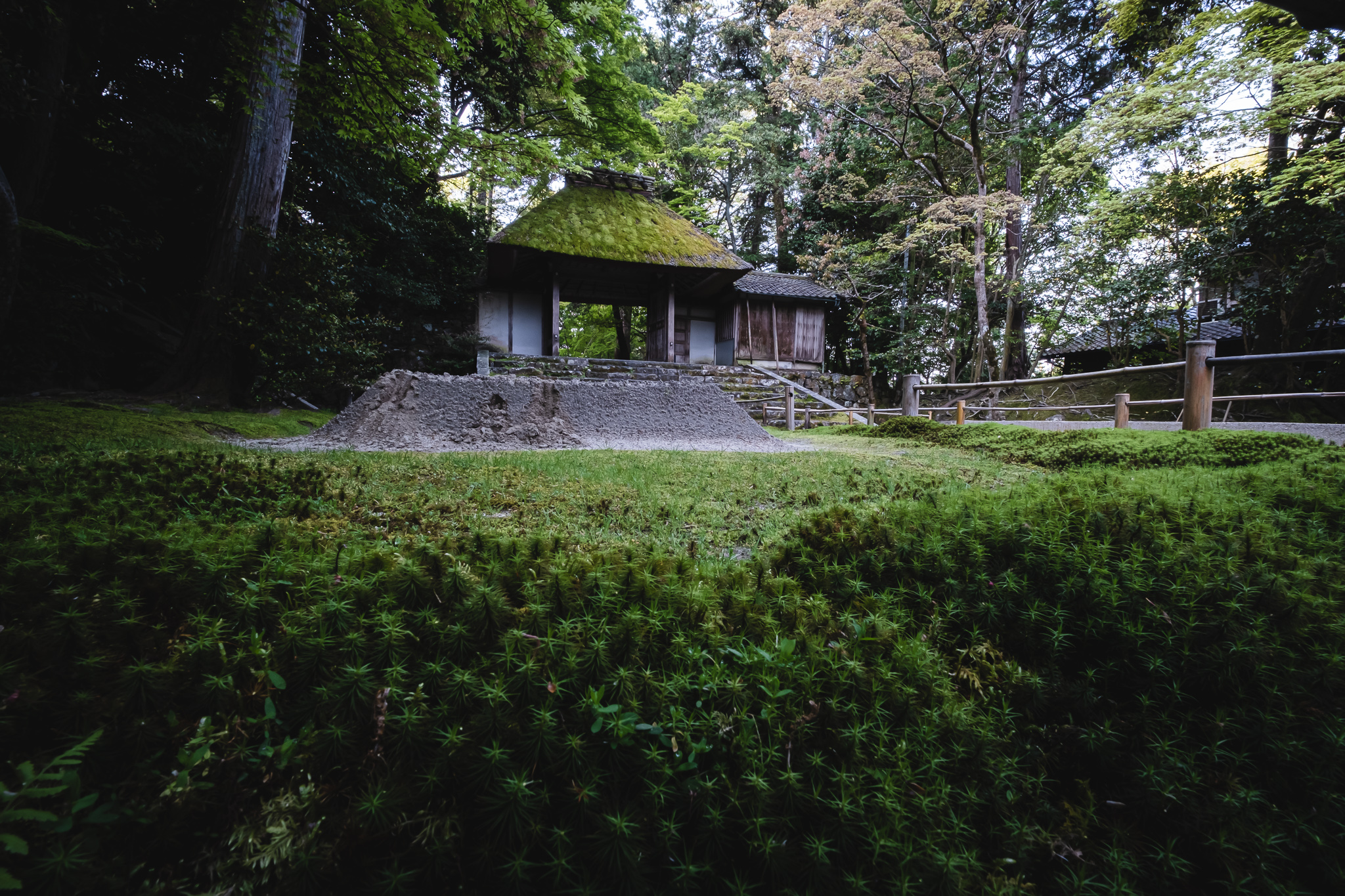 Ryota,F on Twitter: "しっとりした緑の法然院が、静かでとても心地が良かったです。 ＃京都 https://t.co/T9LZq2Au6U" / Twitter