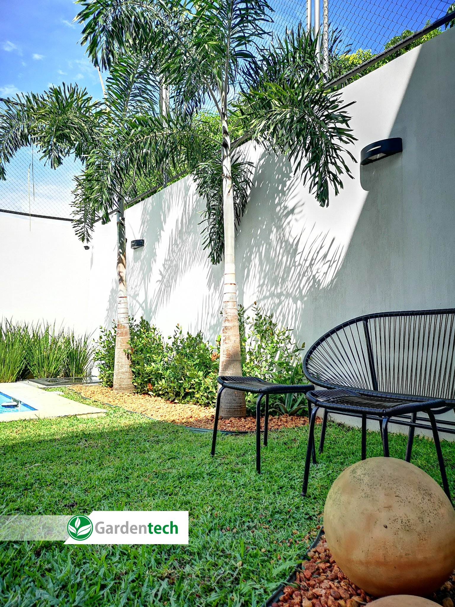 Arbustos De Palmeras Para Paisajismo