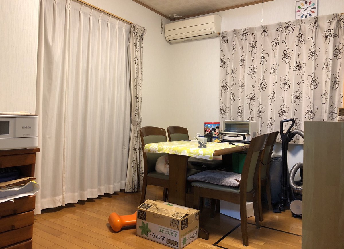 ぶんた国王 (@bunbunta_cat) | Twitter