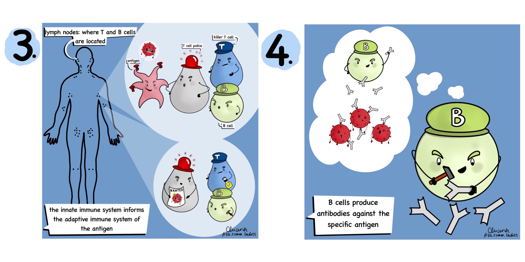 Innate Vs Adaptive Immunity Cartoon