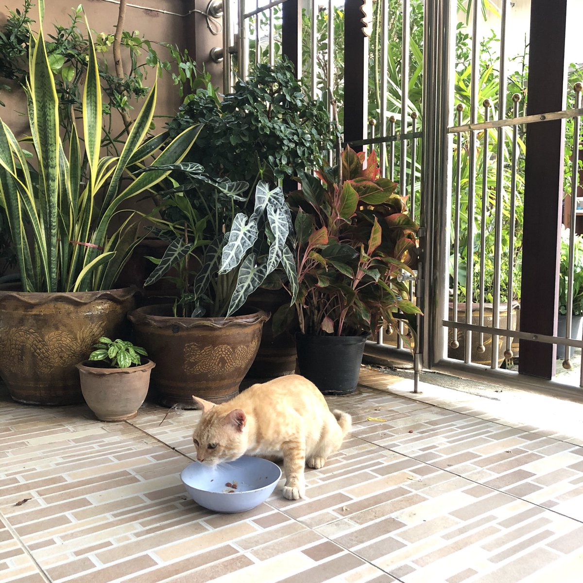 NIRACHA (@NIRACHA27360756) | Twitter