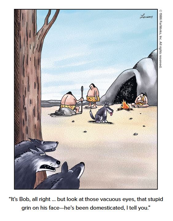 Best far side cartoons color - spherewes