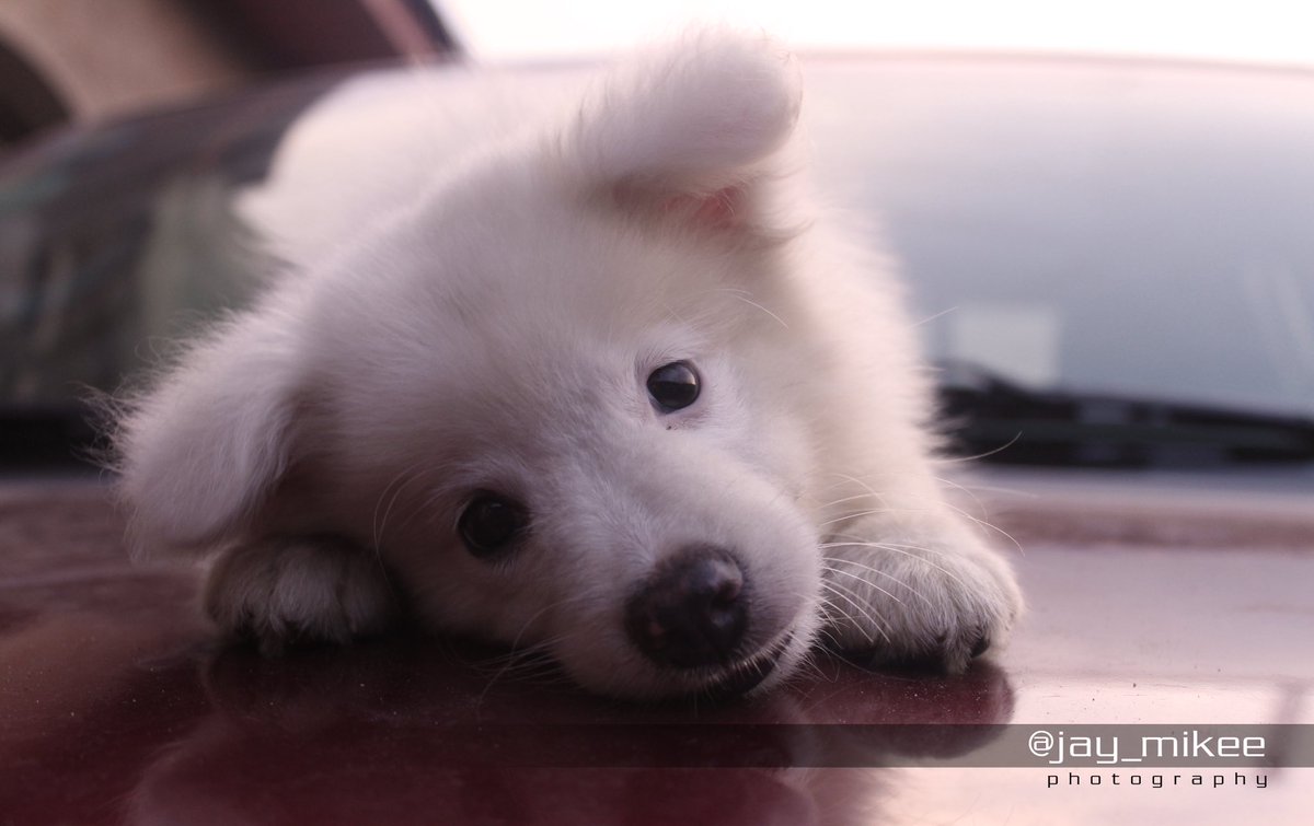 Let me color your timeline with some of my pictures from 6years ago ...