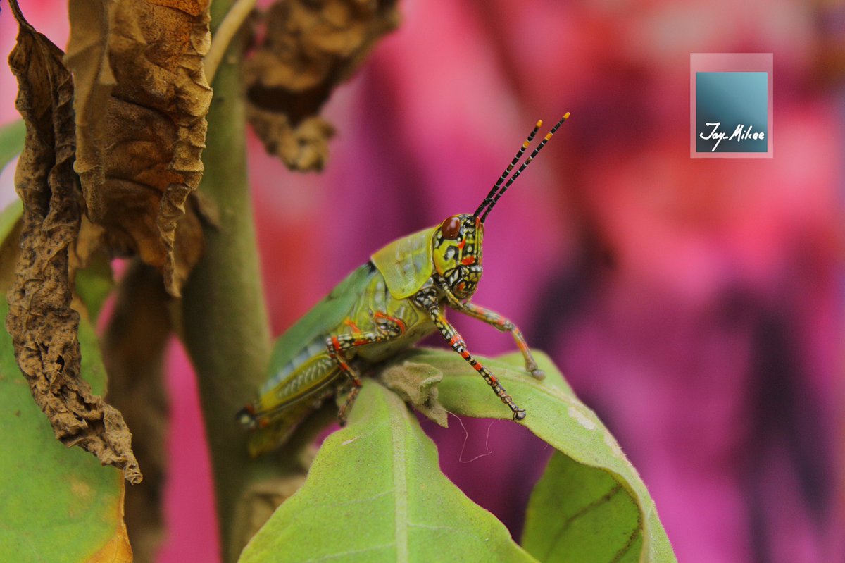 Let me color your timeline with some of my pictures from 6years ago ...