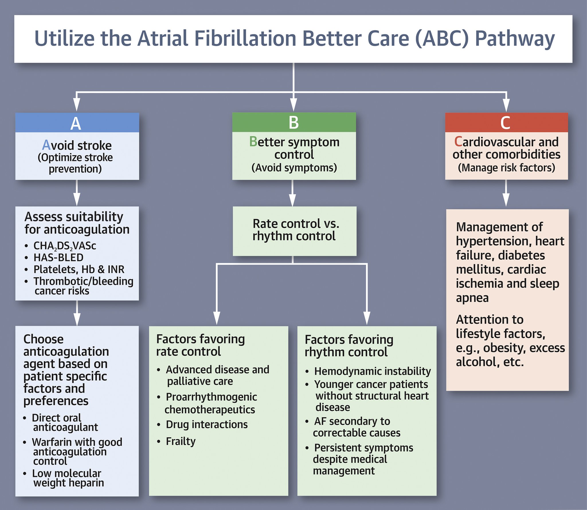 Atrial Fibrillation Treatment